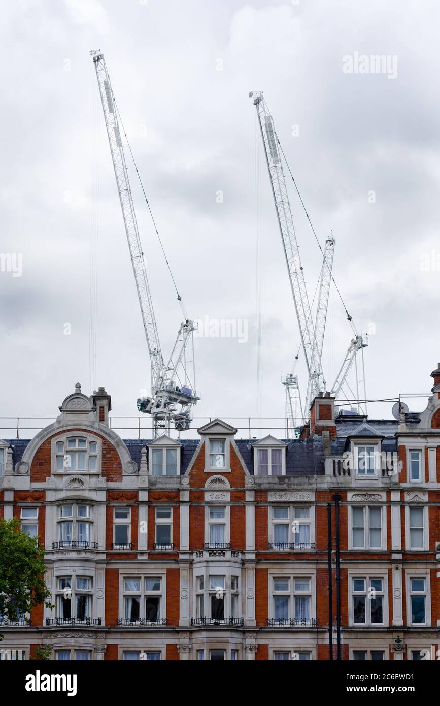 Two white cranes emerge against a cloudy sky and behind a row of ...