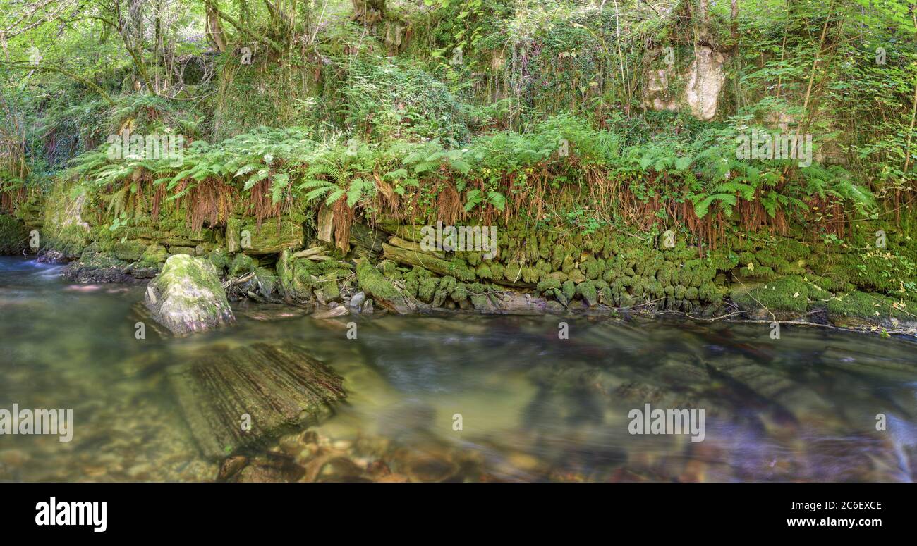 Stratiform hi-res stock photography and images - Alamy