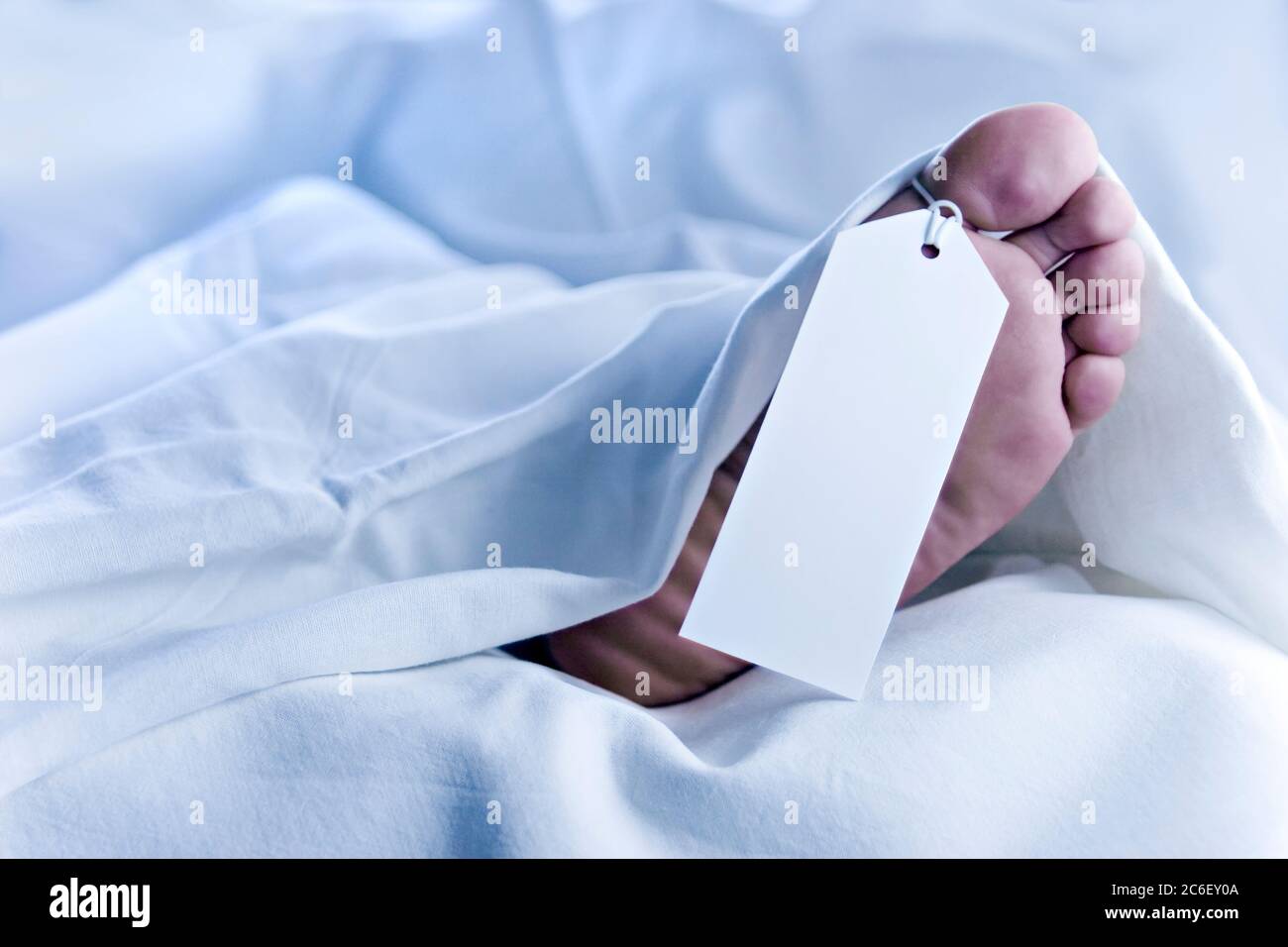 Feet of a dead body, identification tag, close-up in white sheets Stock ...