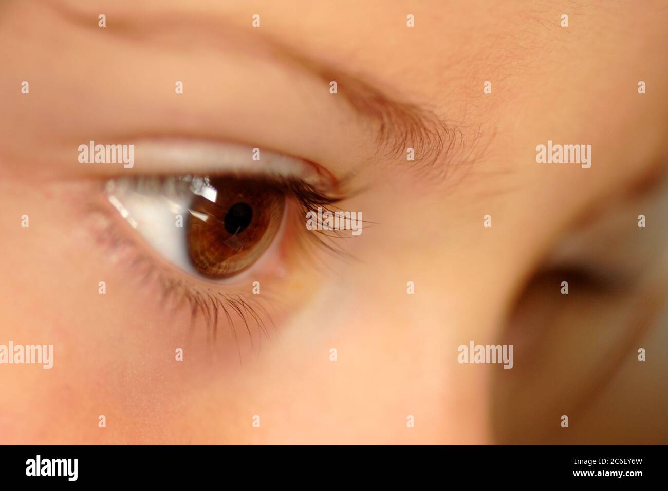 Eyelid Window High Resolution Stock Photography and Images - Alamy