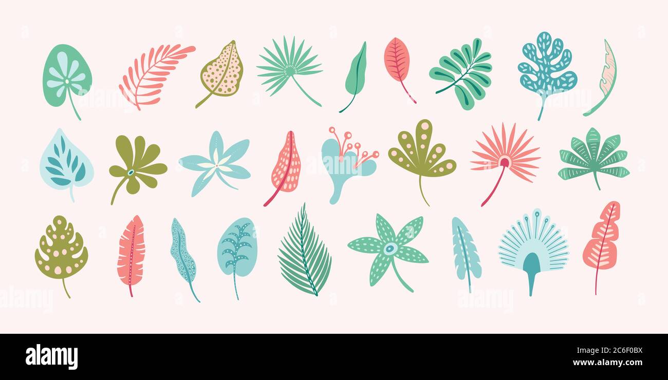 Vector leaves design set. Cute tropical leaf clip art. Nature ...