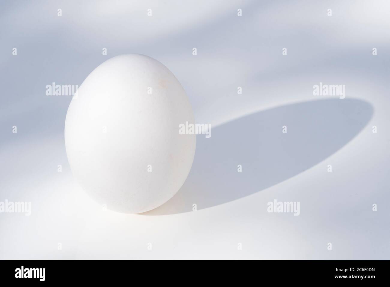 Still life of an egg in dappled light on a white background Stock Photo ...