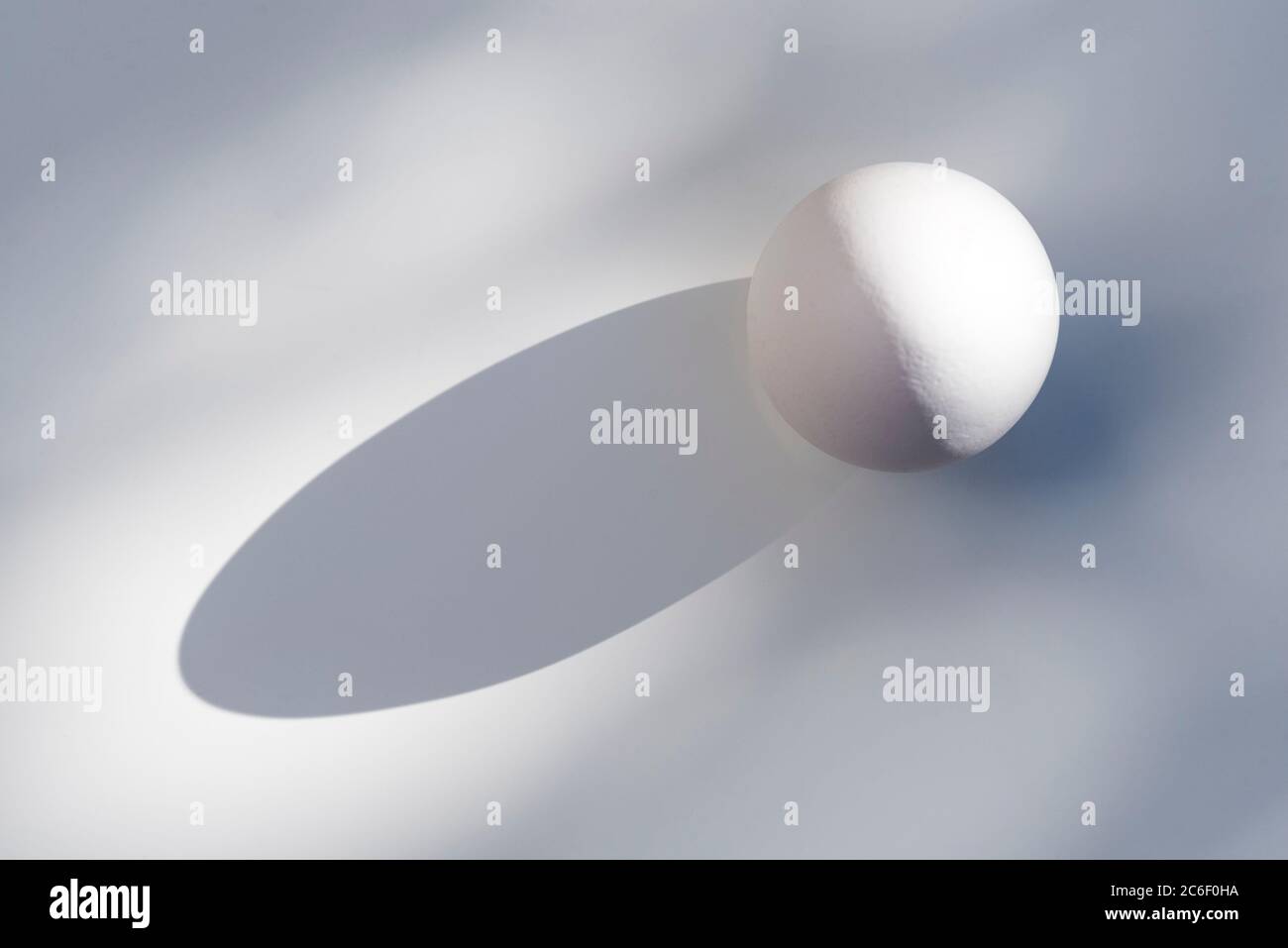 Still life of an egg in dappled light on a white background Stock Photo ...