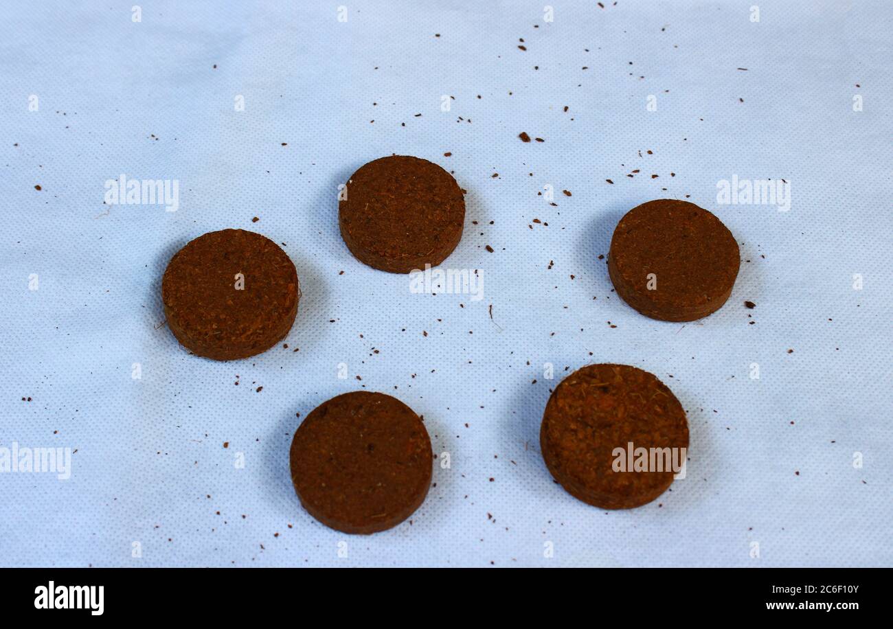 Peat pellets hi-res stock photography and images - Alamy