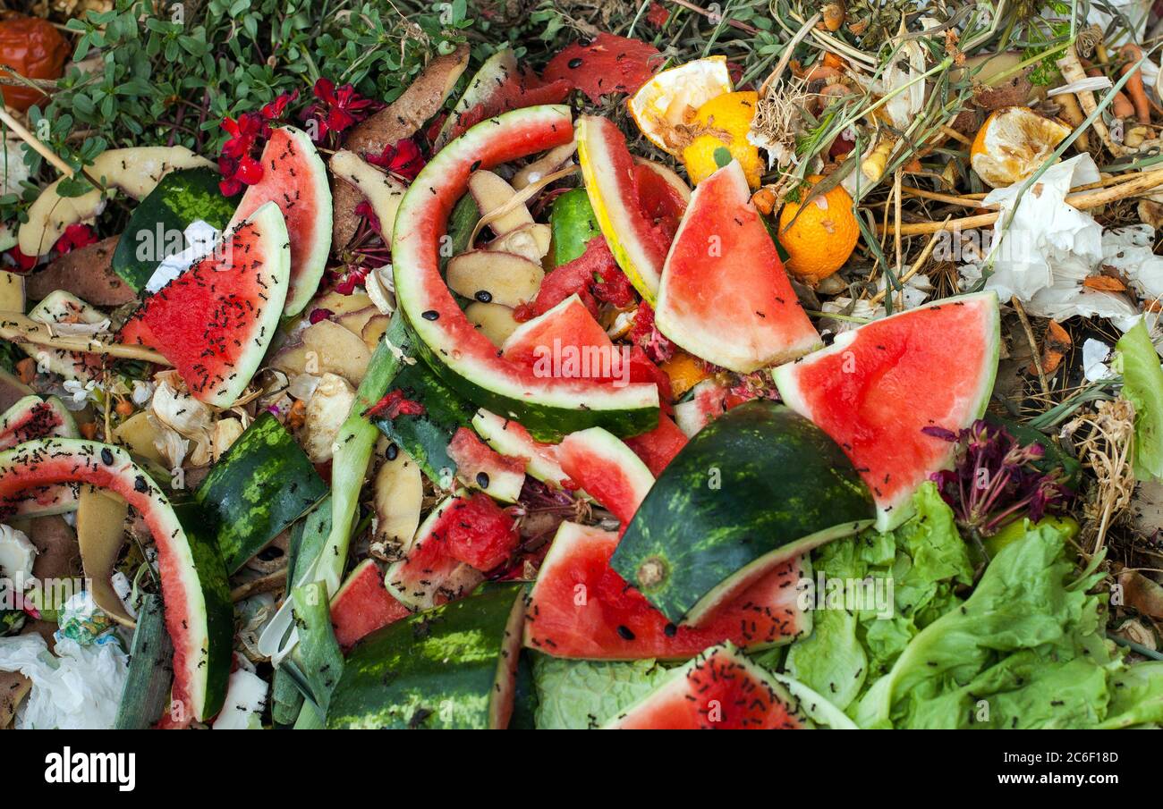 Compost and composted soil cycle as a composting pile of rotting ...