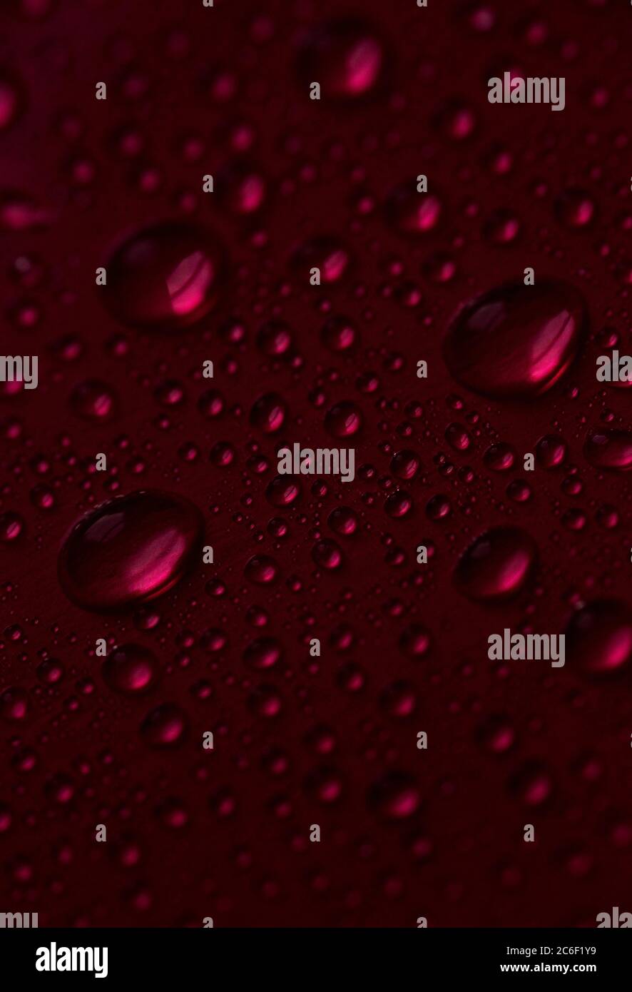 Water droplets on a colourful background. Bright wallpaper. Refreshing ...