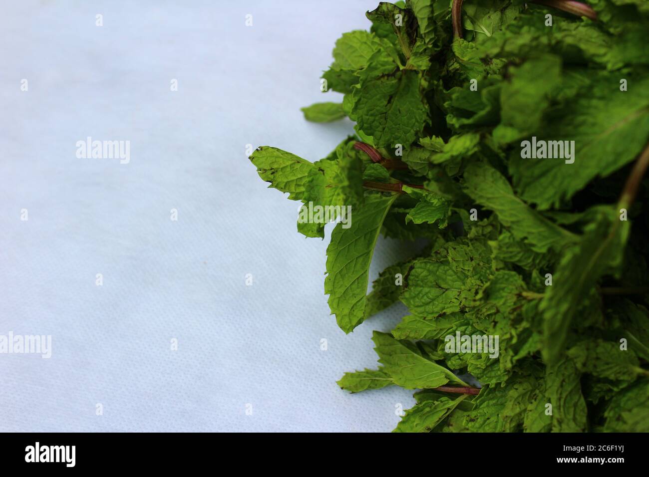 Bunch of mint leaves hi-res stock photography and images - Alamy