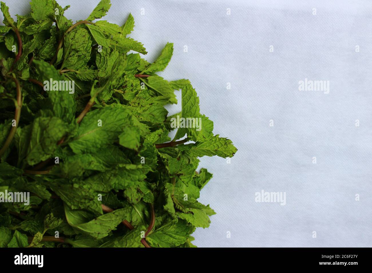 Bunch of mint leaves hi-res stock photography and images - Alamy