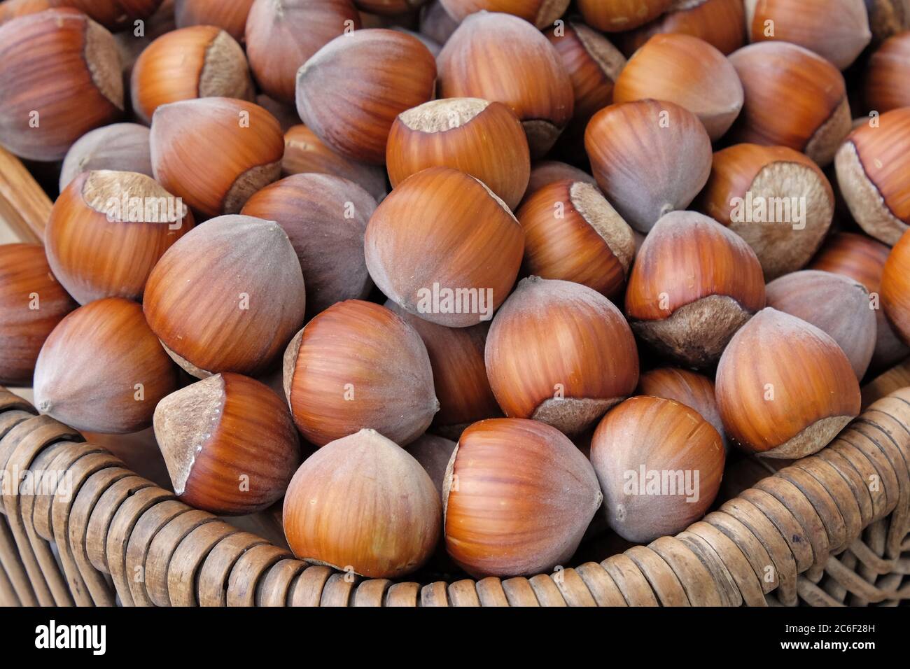 Haselnuss, Corylus Corabel, Hazel, Corylus Corabel Stock Photo - Alamy