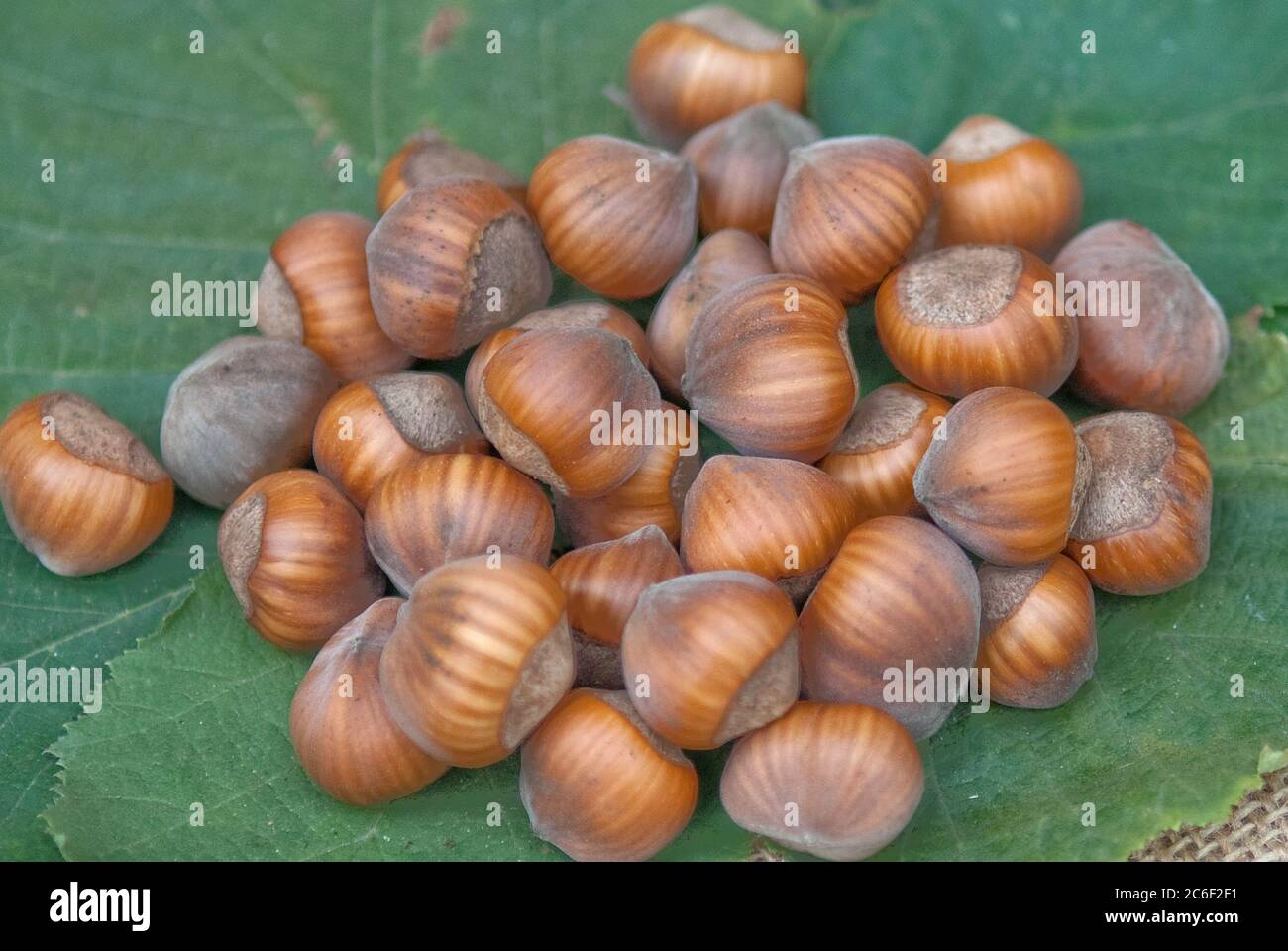 Guben hi-res stock photography and images - Alamy