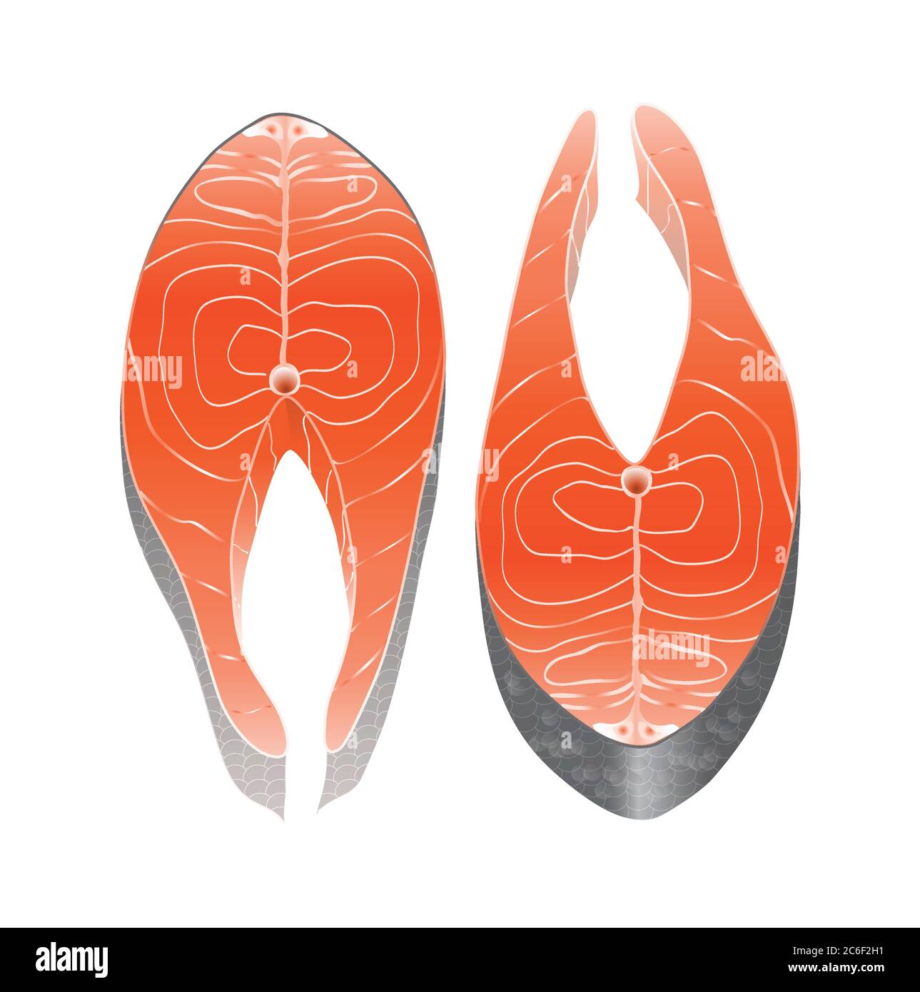 Two cross-section salmon steaks side by side, isolated on white. EPS10 ...
