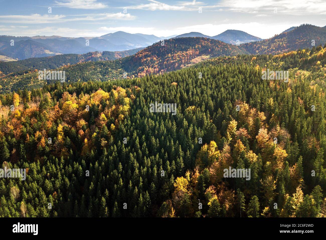 Aerial view of autumn mountain landscape with evergreen pine trees and ...