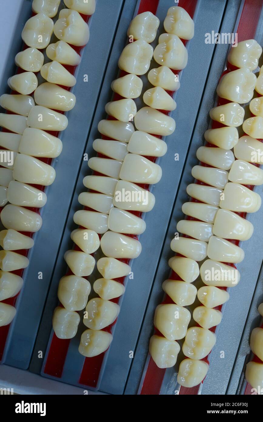 Dental prosthesis, human teeth, placed on the counter at the store ...