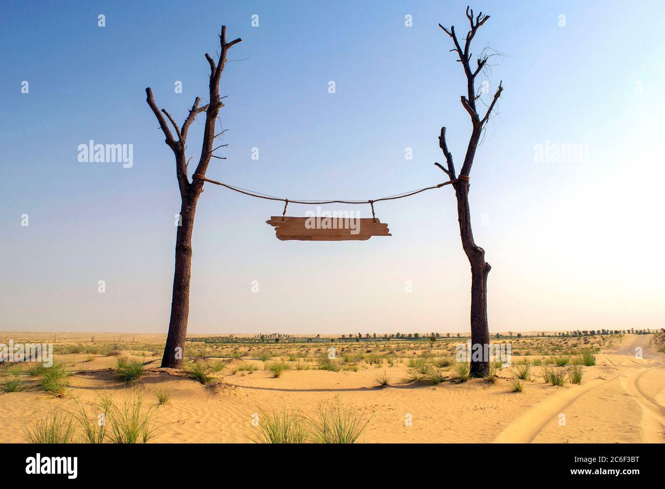 Empty wooden plate is hanging between two dry trees in a sand desert ...