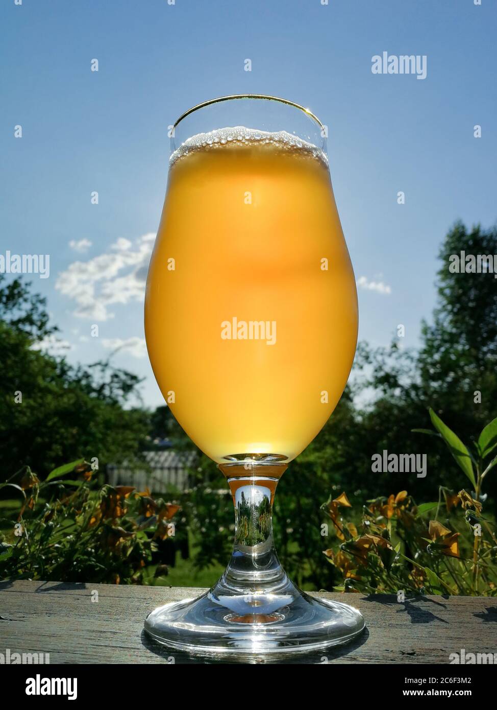 Beer lager bottle cafe table glass hi-res stock photography and images ...