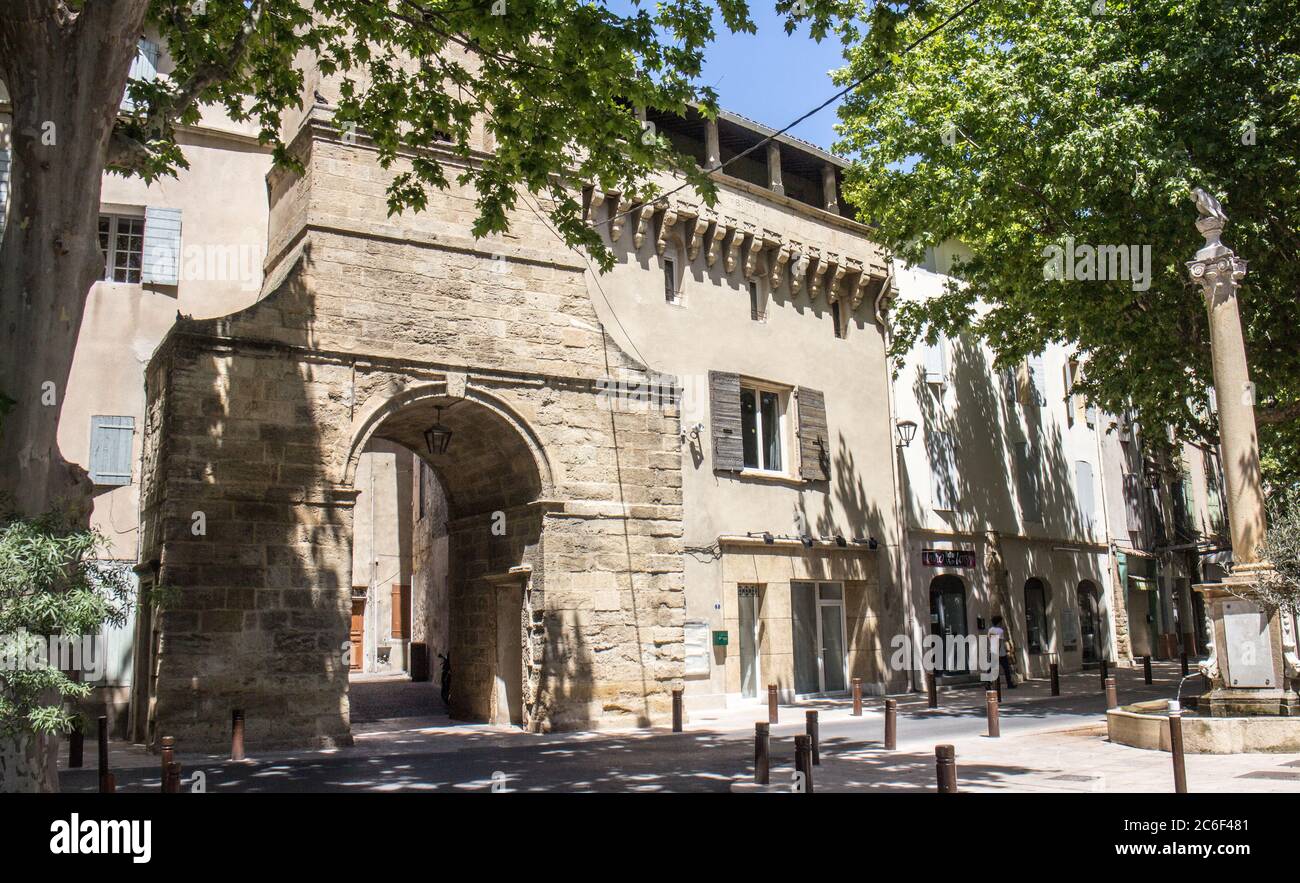 Plane Trees Provence High Resolution Stock Photography and Images - Alamy