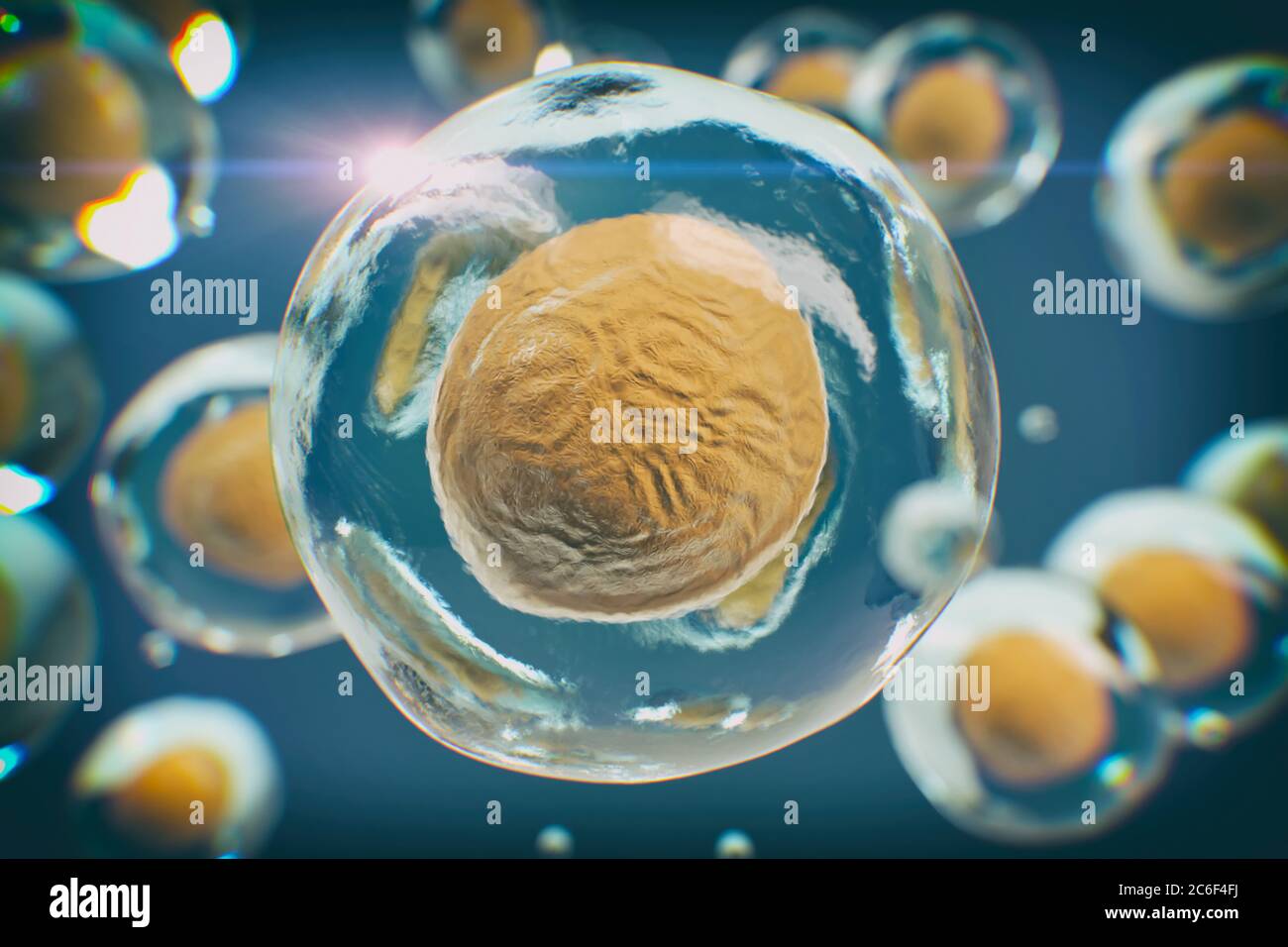 Body cells under a microscope. A good illustration as a representation ...