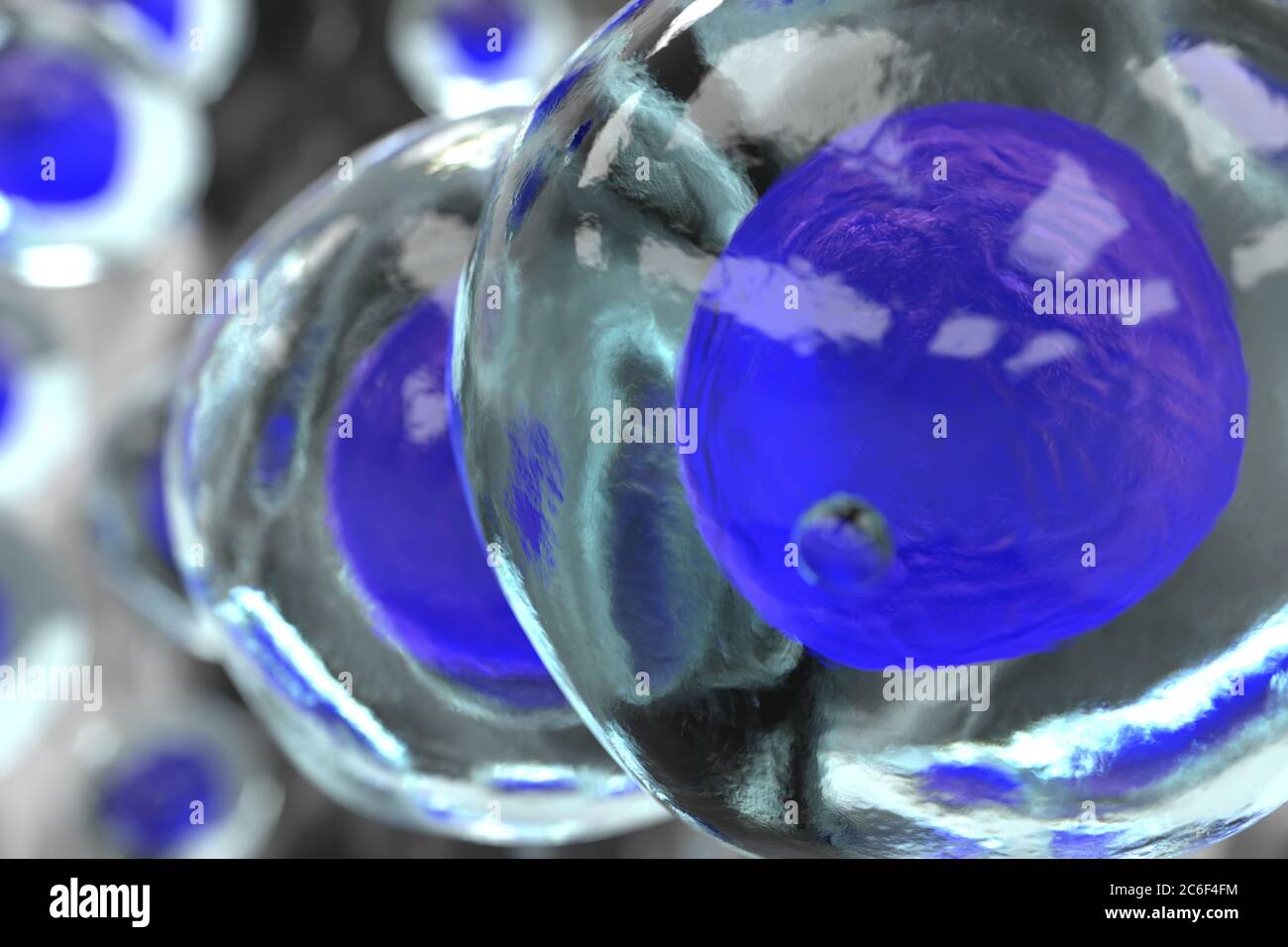 Body cells under a microscope. A good illustration as a representation ...