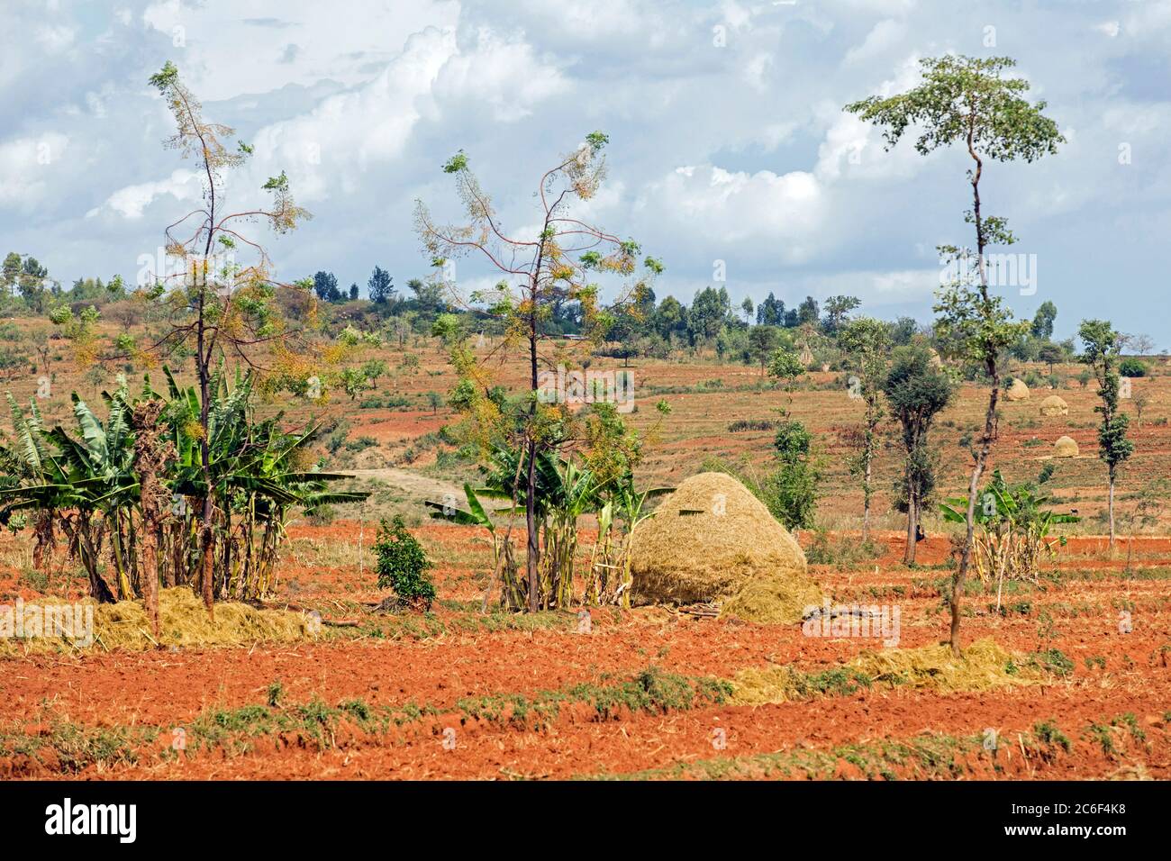 Konso landscape konso region ethiopia hi-res stock photography and ...