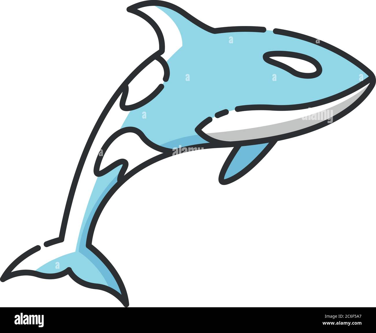 Orca RGB color icon. Dangerous swimming animal, sea life, ocean fauna ...