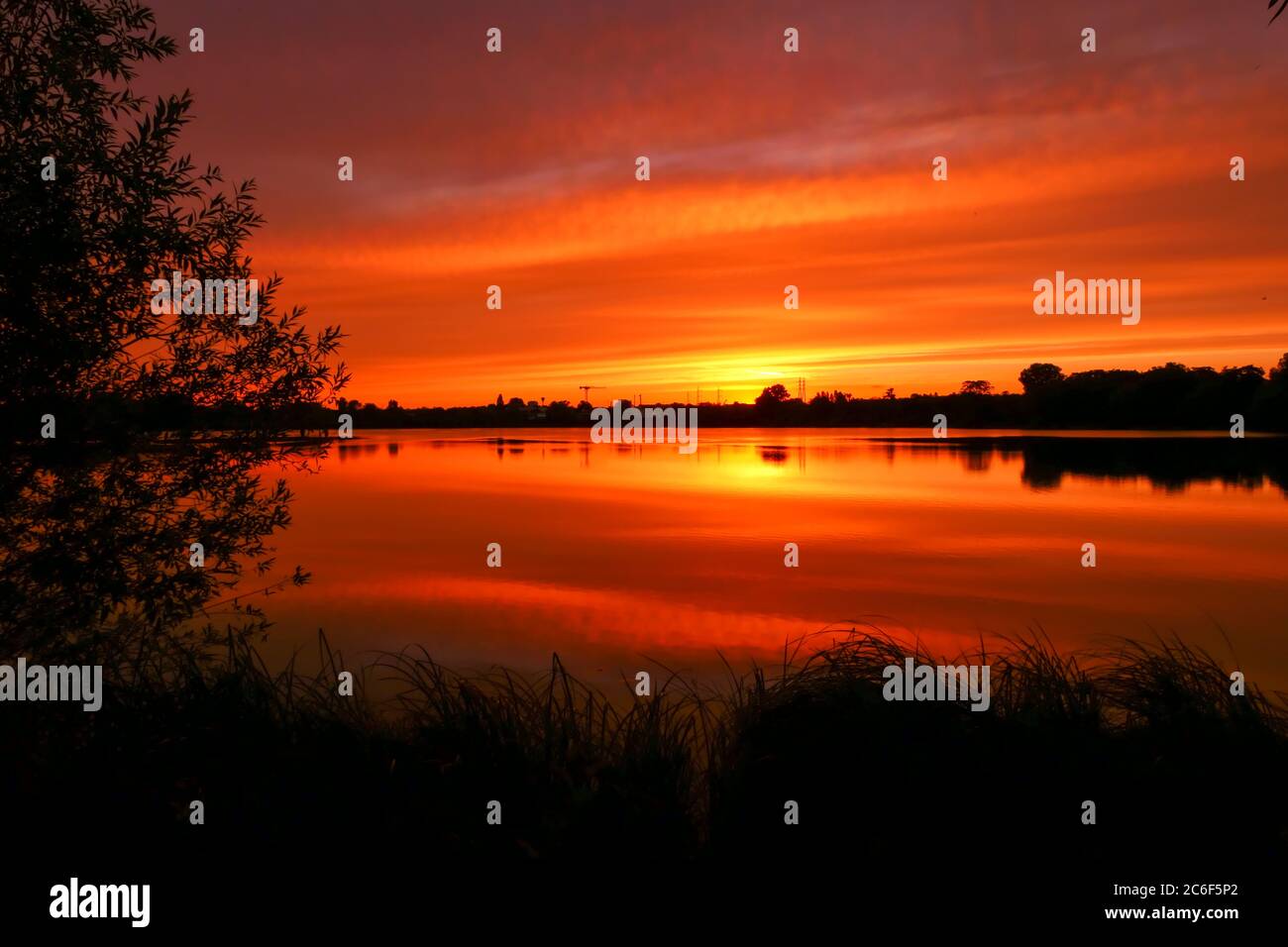 Symmetry In Nature High Resolution Stock Photography and Images - Alamy