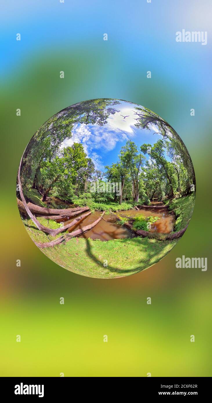 Beaulieu River in the New Forest Stock Photo - Alamy