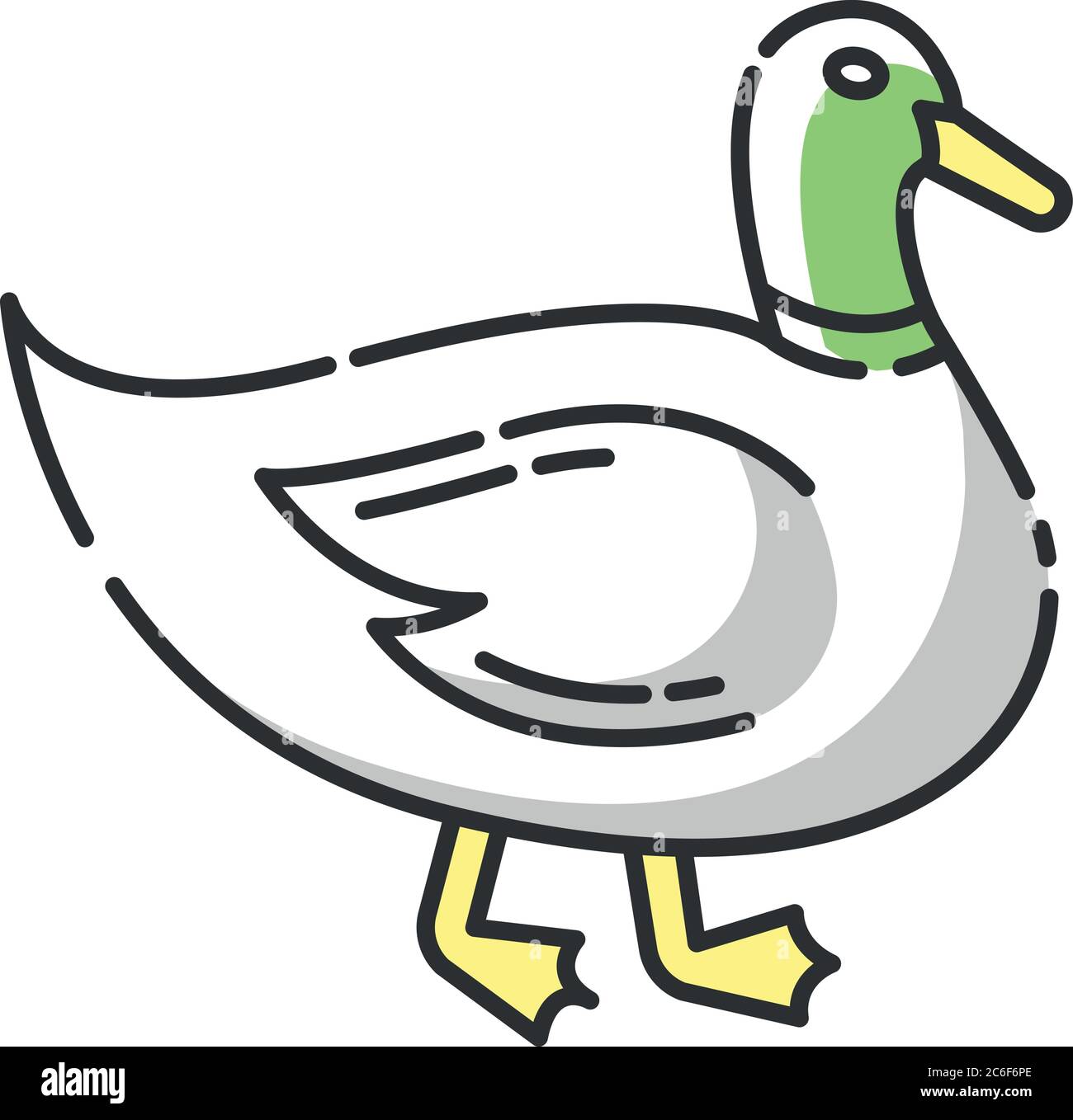 Duck RGB color icon. Common wild waterfowl, domestic bird. Migratory ...