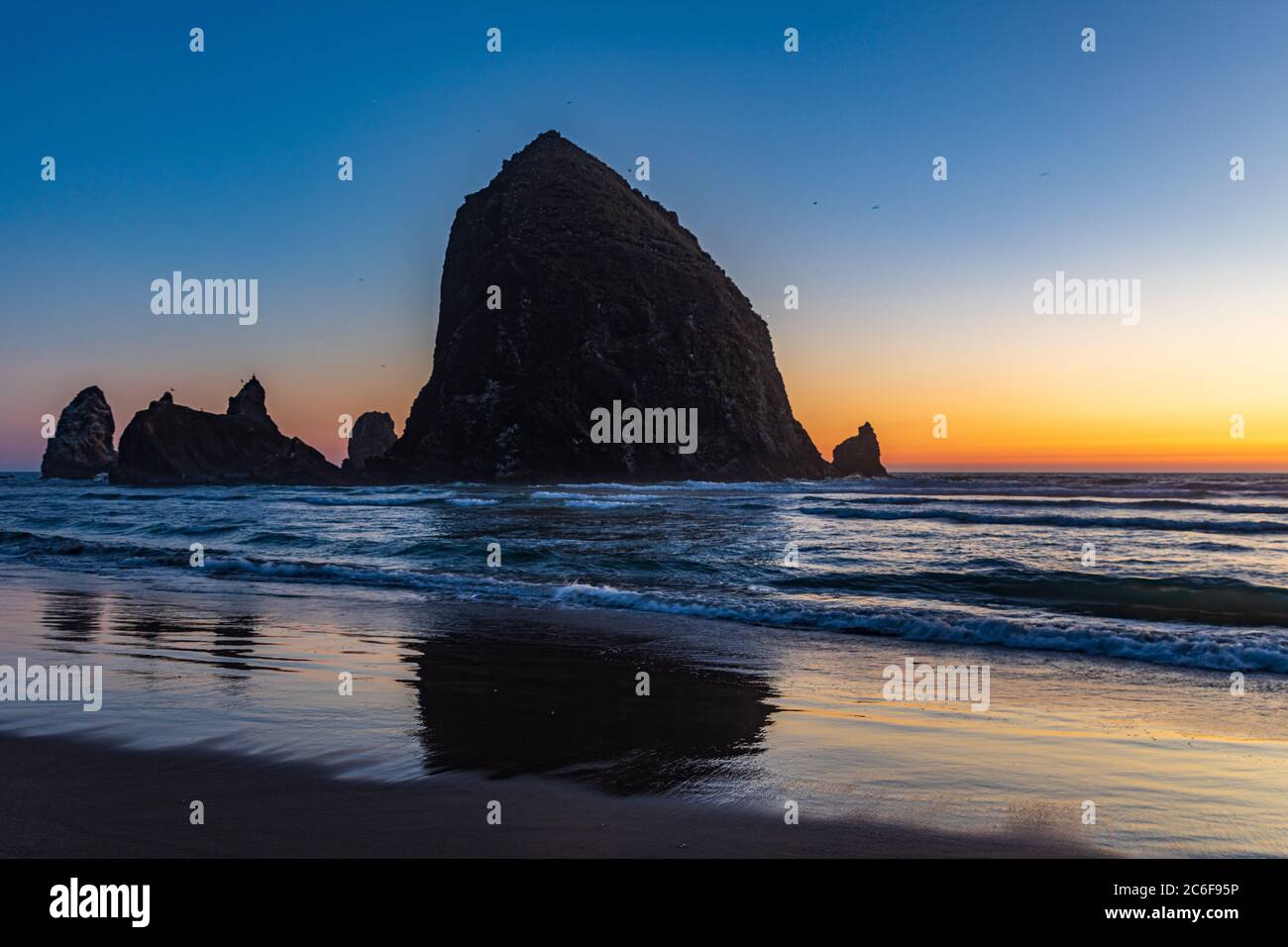 Birds fly above Haystack Rock and sea stacks at sunset along Cannon ...