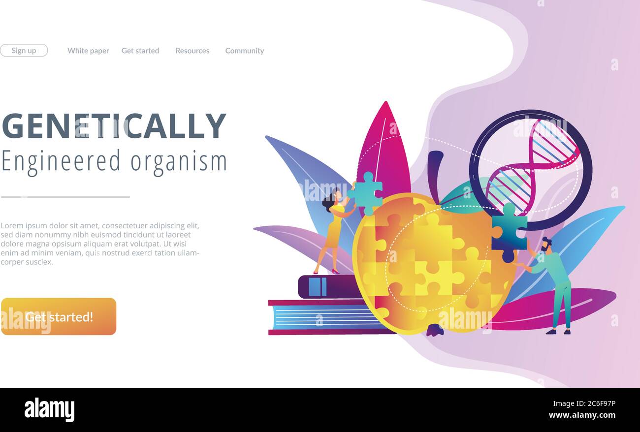 Genetically modified organism concept landing page Stock Vector Image & Art - Alamy