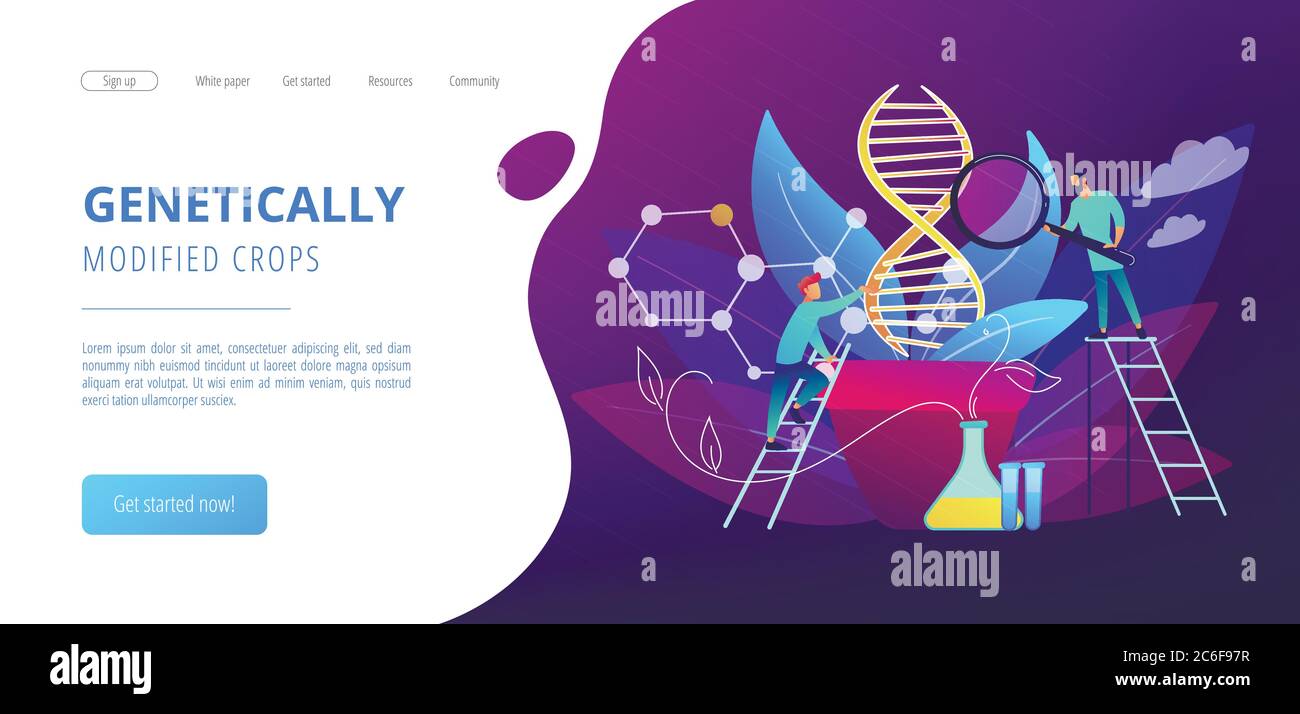 Genetically modified plant Stock Vector Images - Alamy