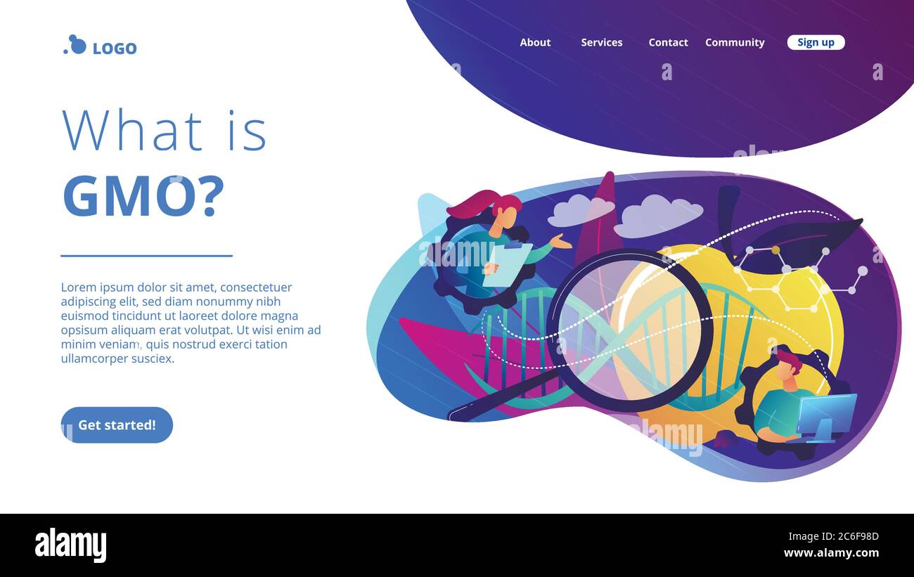 Genetically modified foods concept landing page Stock Vector Image & Art - Alamy