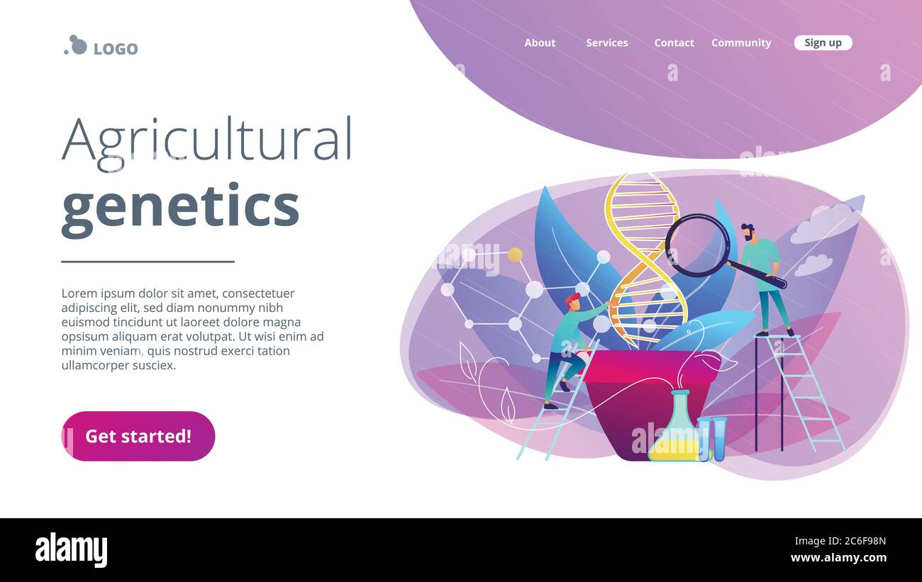 Genetically modified plants concept landing page Stock Vector Image & Art - Alamy