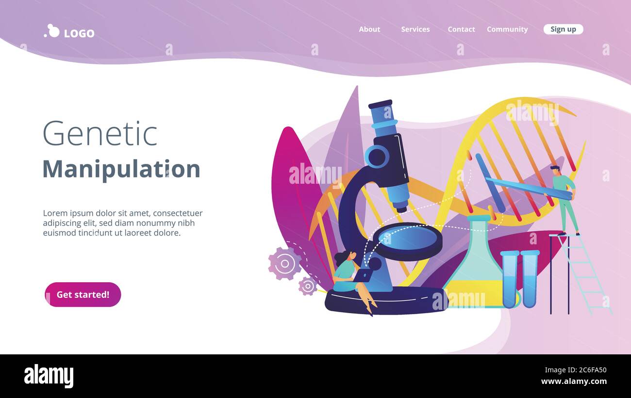 Genetic engineering concept landing page Stock Vector Image & Art - Alamy