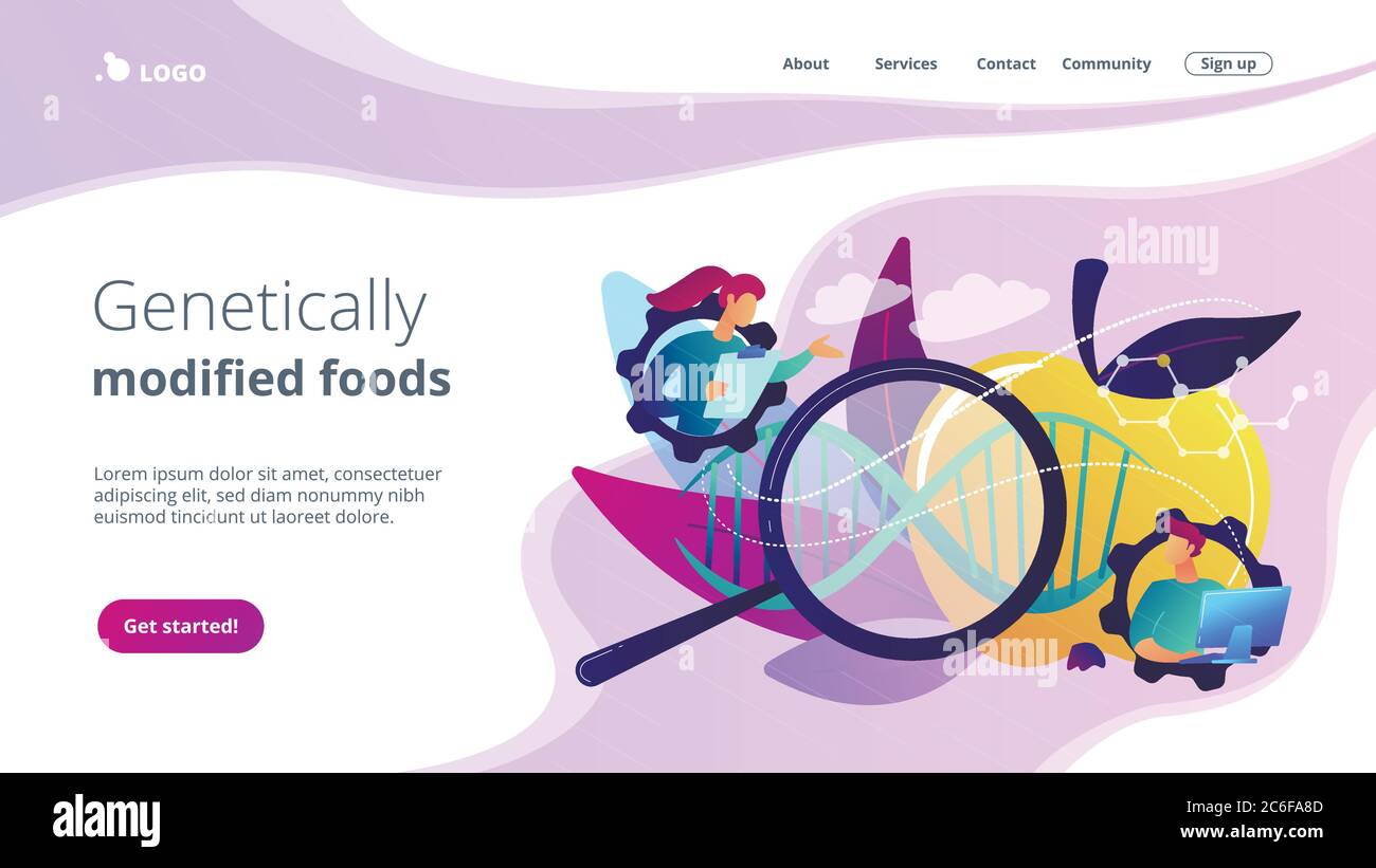 Genetically modified foods concept landing page Stock Vector Image & Art - Alamy