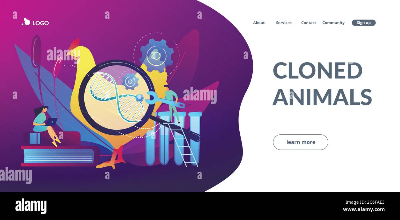 Genetically modified animals concept landing page Stock Vector Image & Art - Alamy