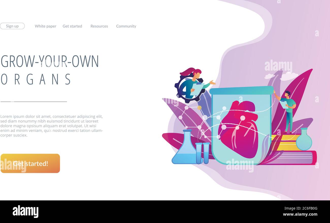 Lab grown organ hi-res stock photography and images - Alamy