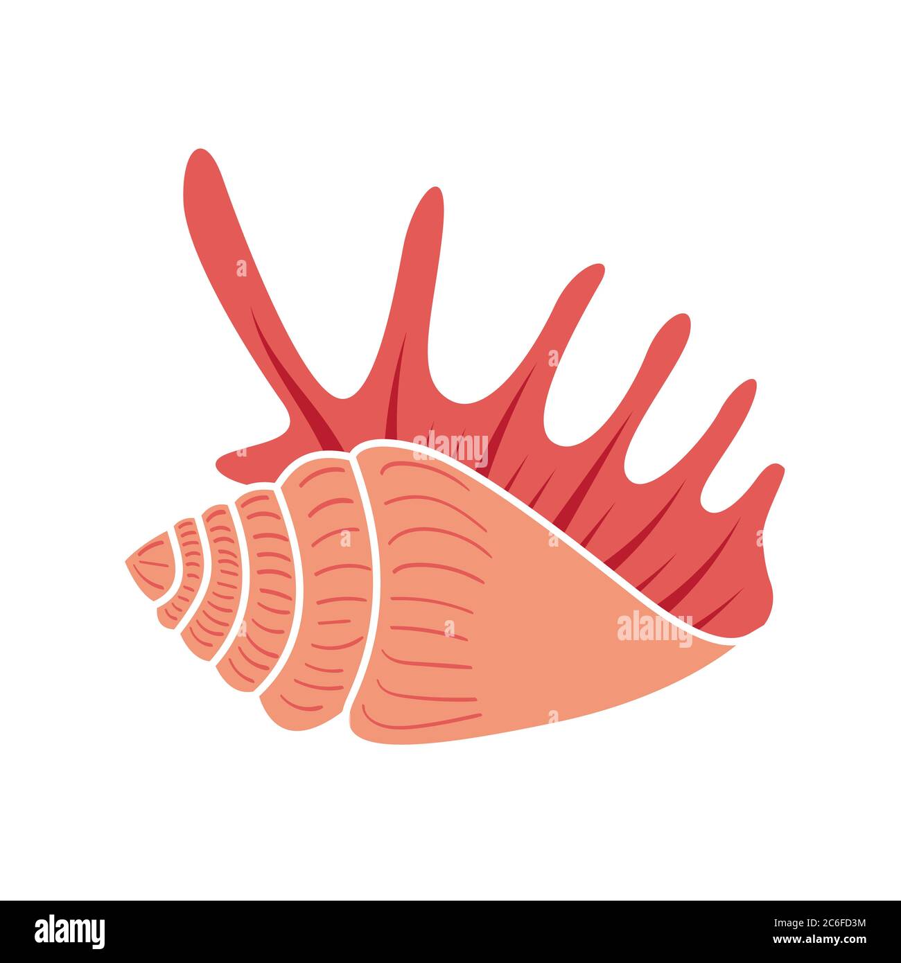 Horned seashell isolated on white background. Cartoon underwater object ...