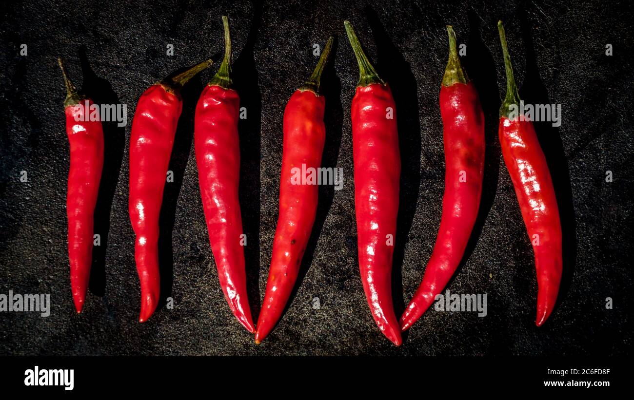 top view of a group of 7 red wrinkled chili peppers lined side by side ...