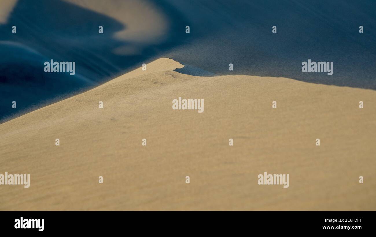 wind blowing beige sand grains over the ridge of a dune. blurred motion ...