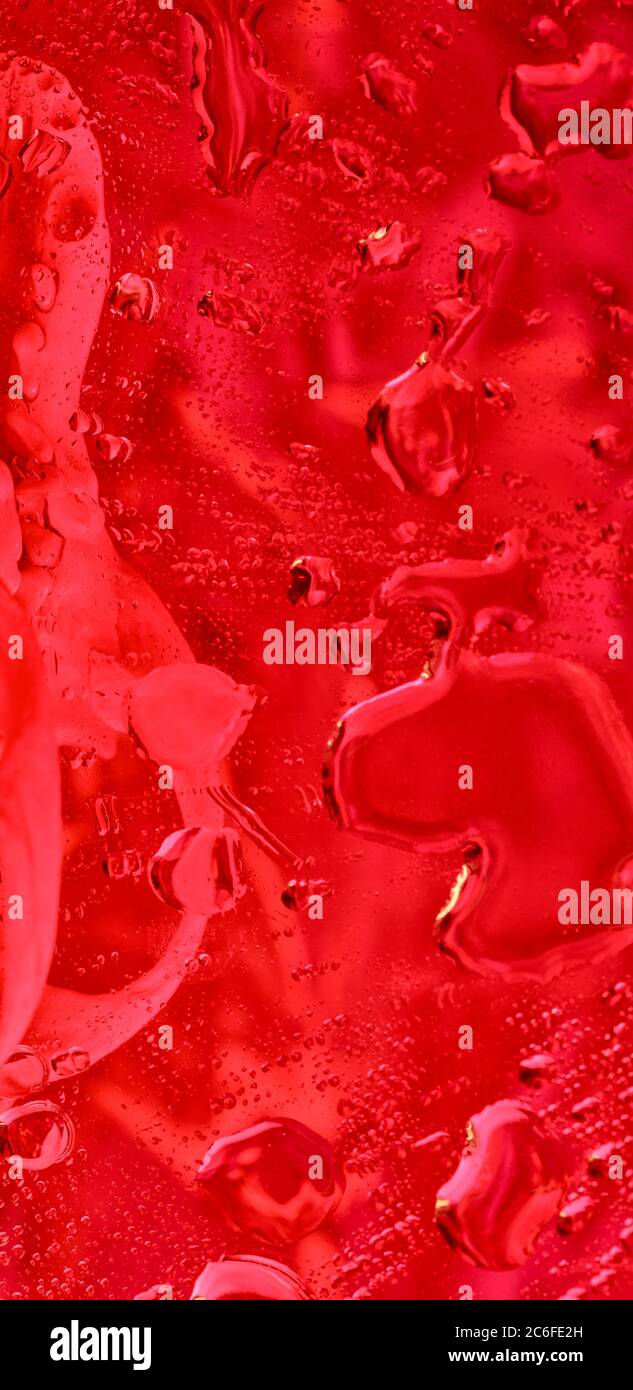 Red colour, water drops on solid background symbolising passion Stock ...