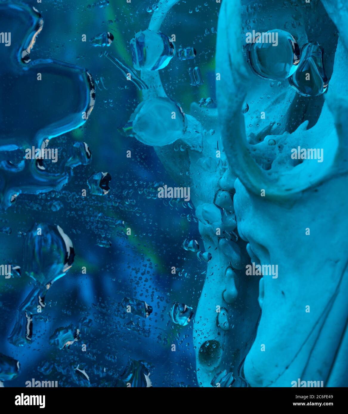 Water bubbles and skull, transience, nature and death Stock Photo - Alamy