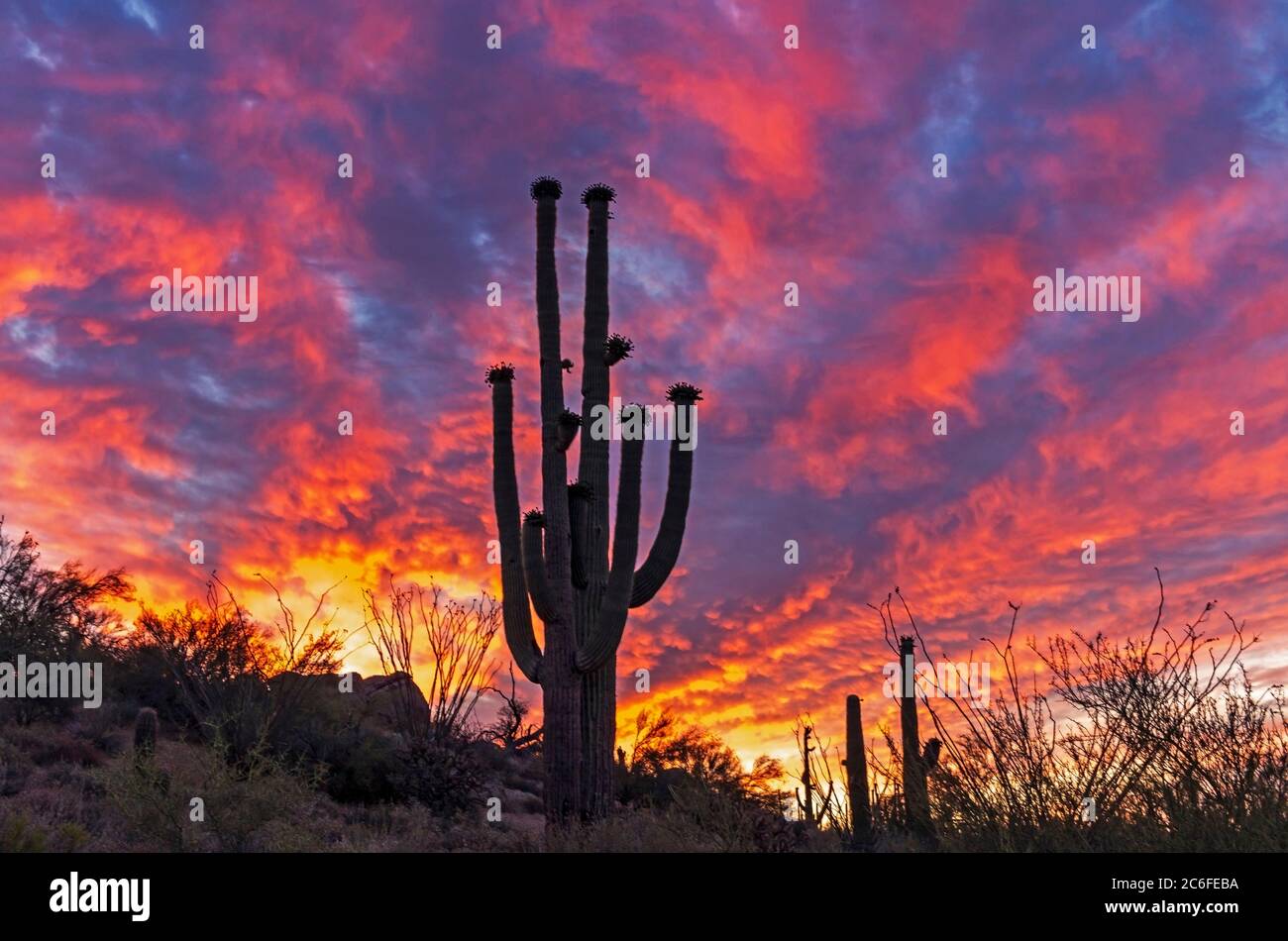 Best views in the usa hi-res stock photography and images - Alamy