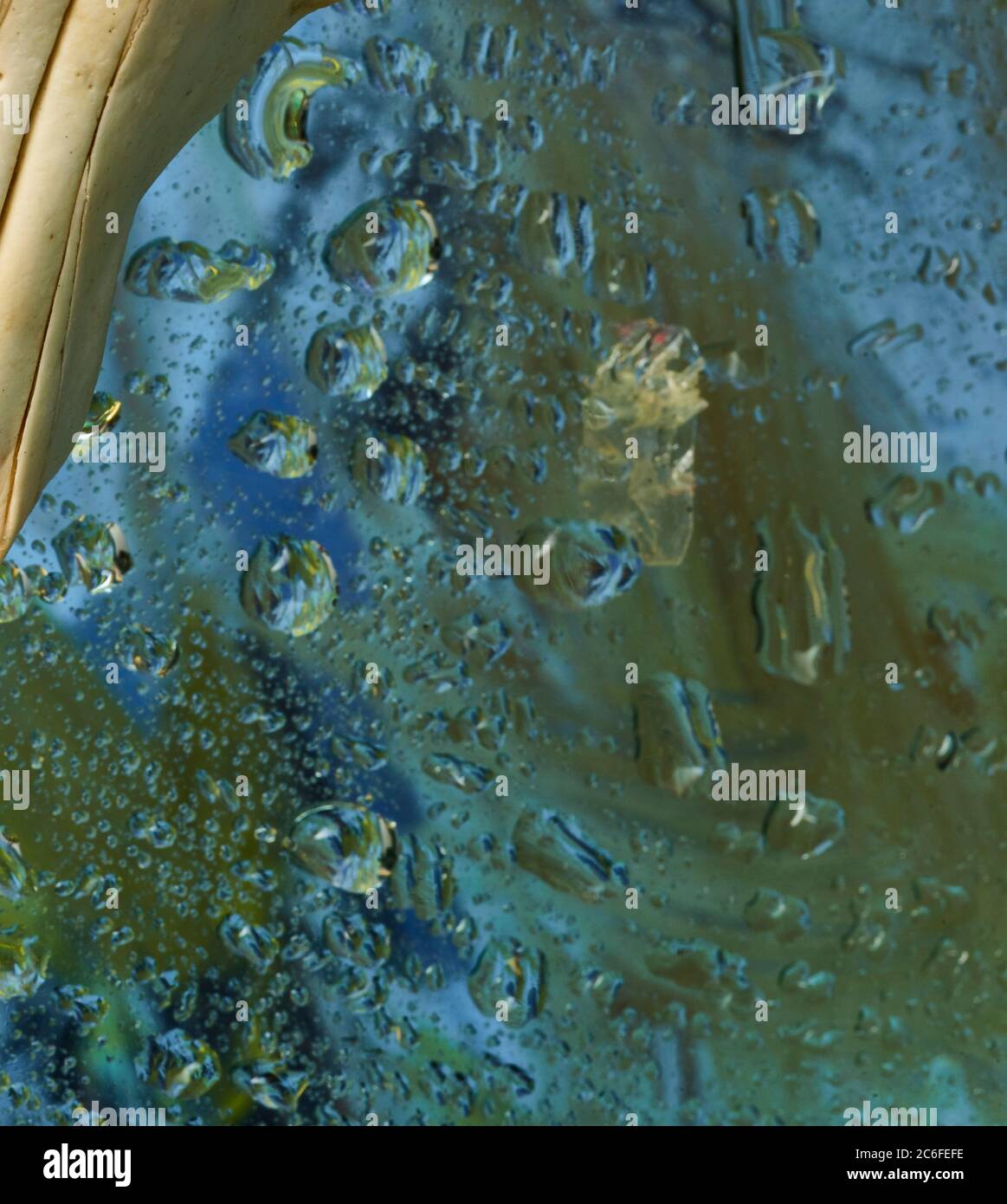 Colour infused water droplets, bubbles, natural environmental portrait ...