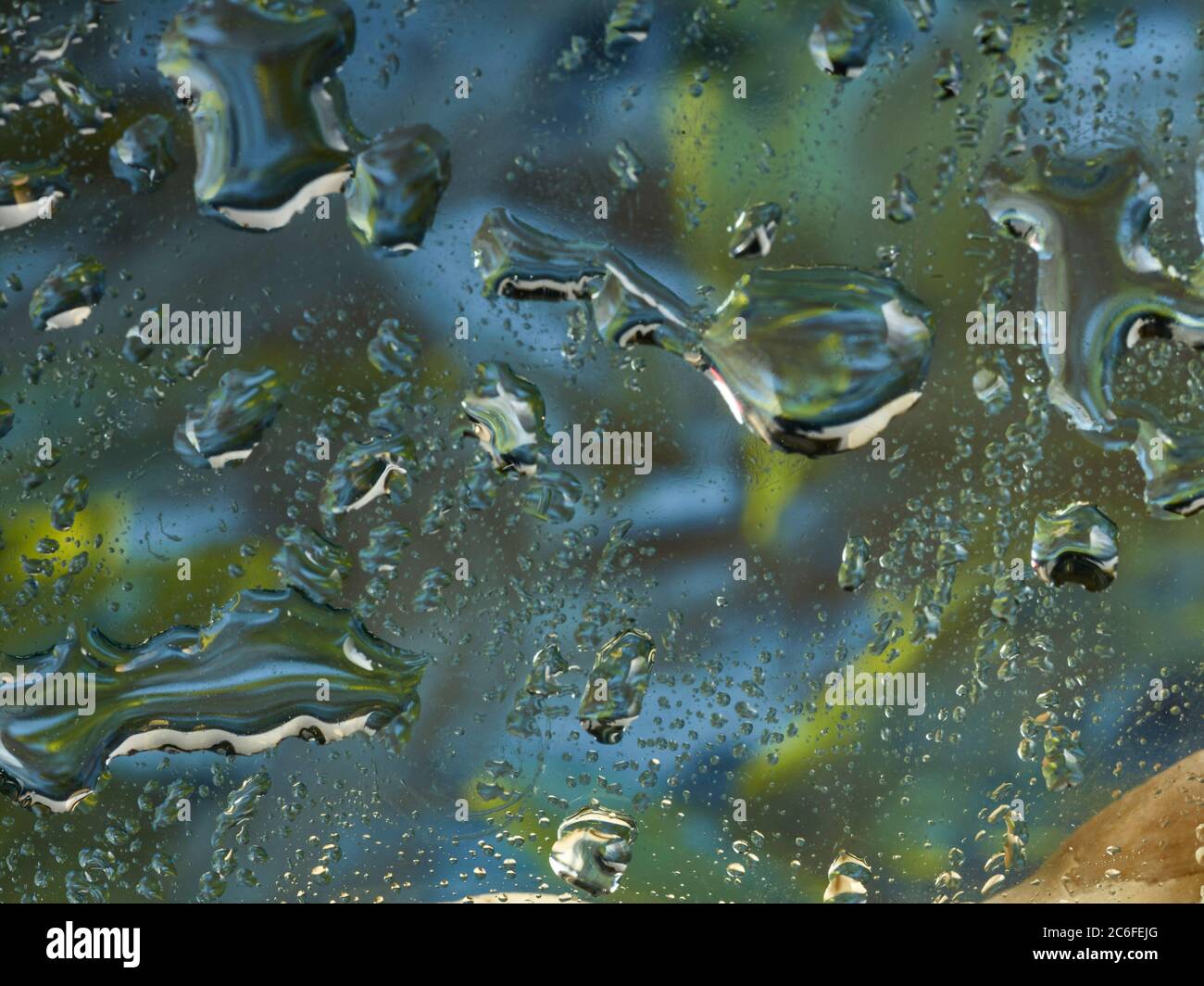 Colour infused water droplets, bubbles, natural environmental portrait ...