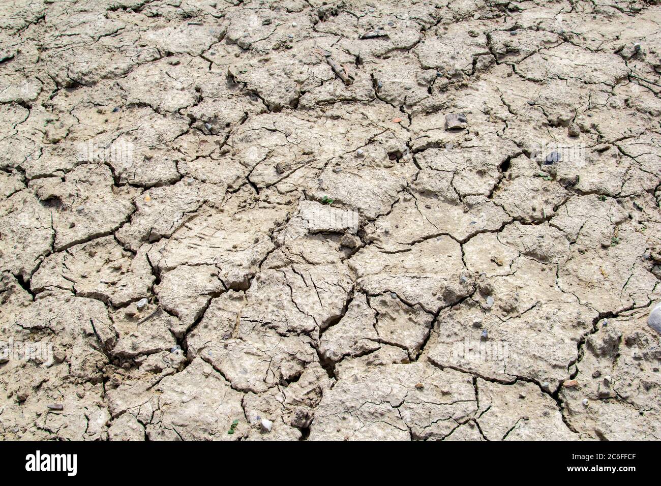 Dried and cracked earth soil from draught cracked terrain texture in ...