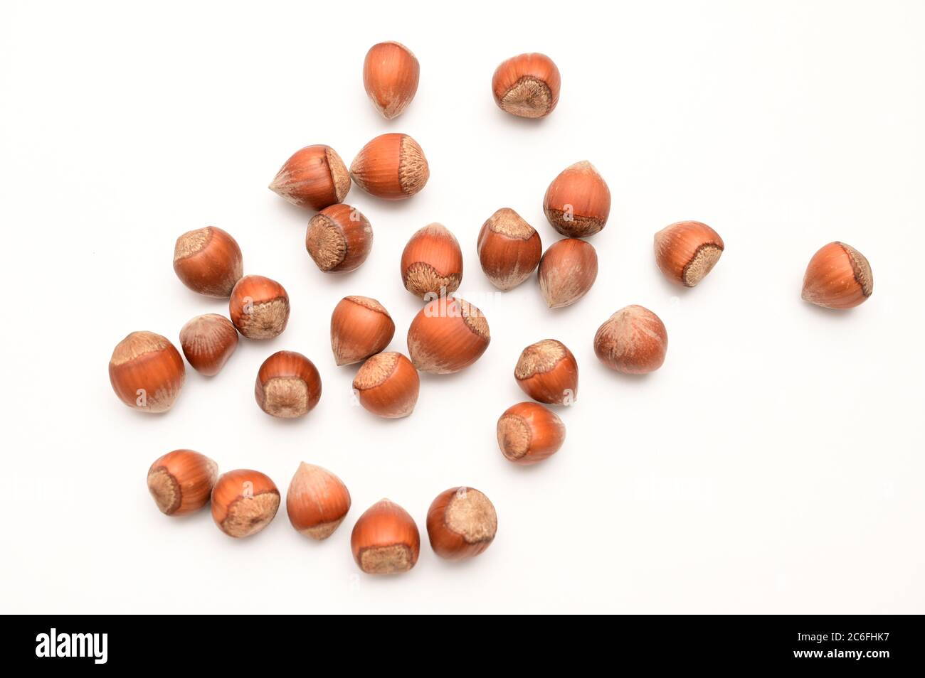 Hazelnuts of Turkey on white background. Turkey produces 75% of world's ...