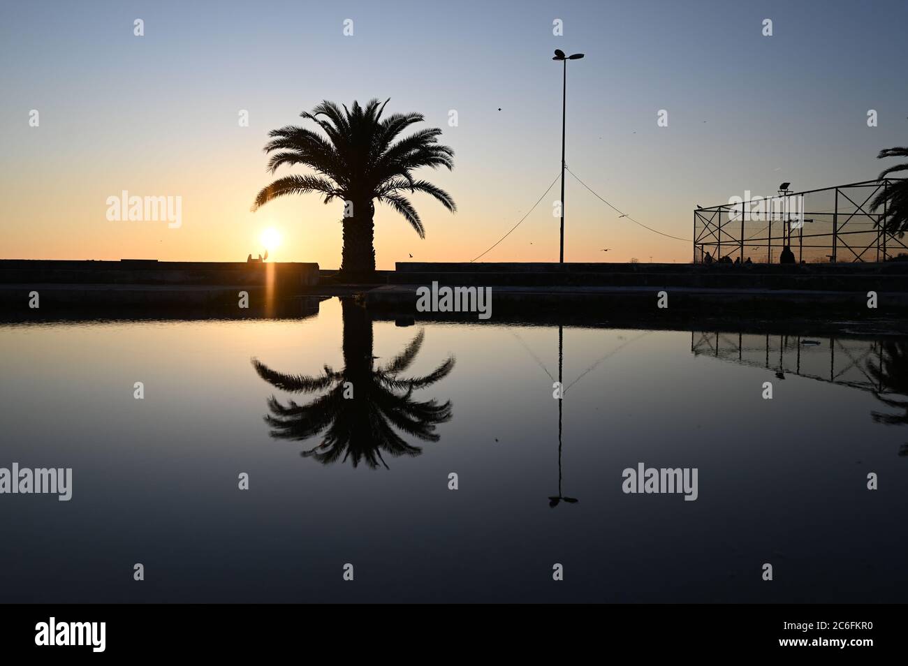 Beautiful reflection palm tree at Caddebostan, İstanbul Stock Photo - Alamy