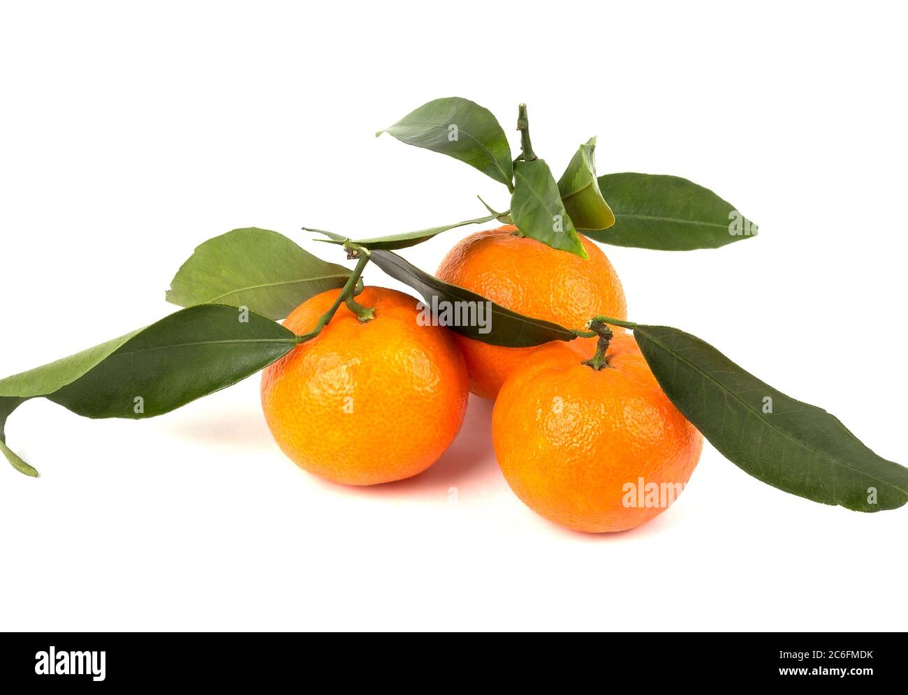 Three tangerines with leaves hi-res stock photography and images - Alamy