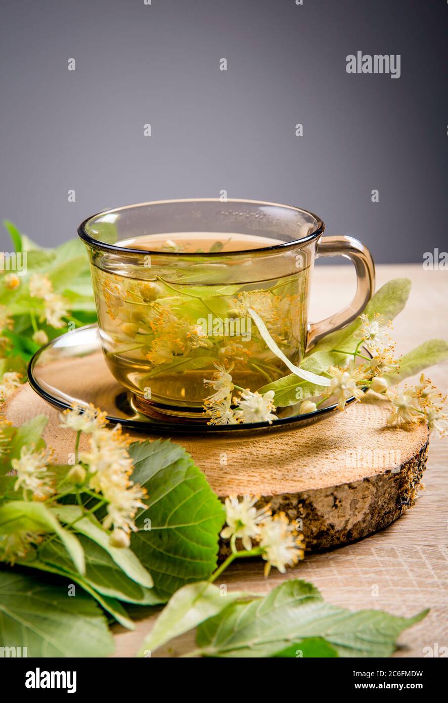 Tilia platyphyllos known as large-leaved linden herbal tea made out of ...