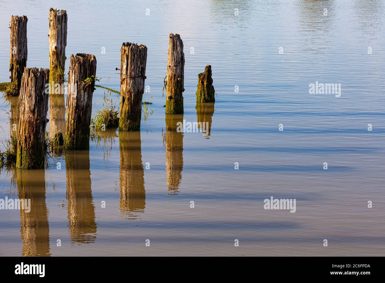 Long shadows cast on grass hi-res stock photography and images - Alamy